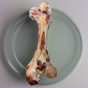Raw Dino Bones (Beef Femur)